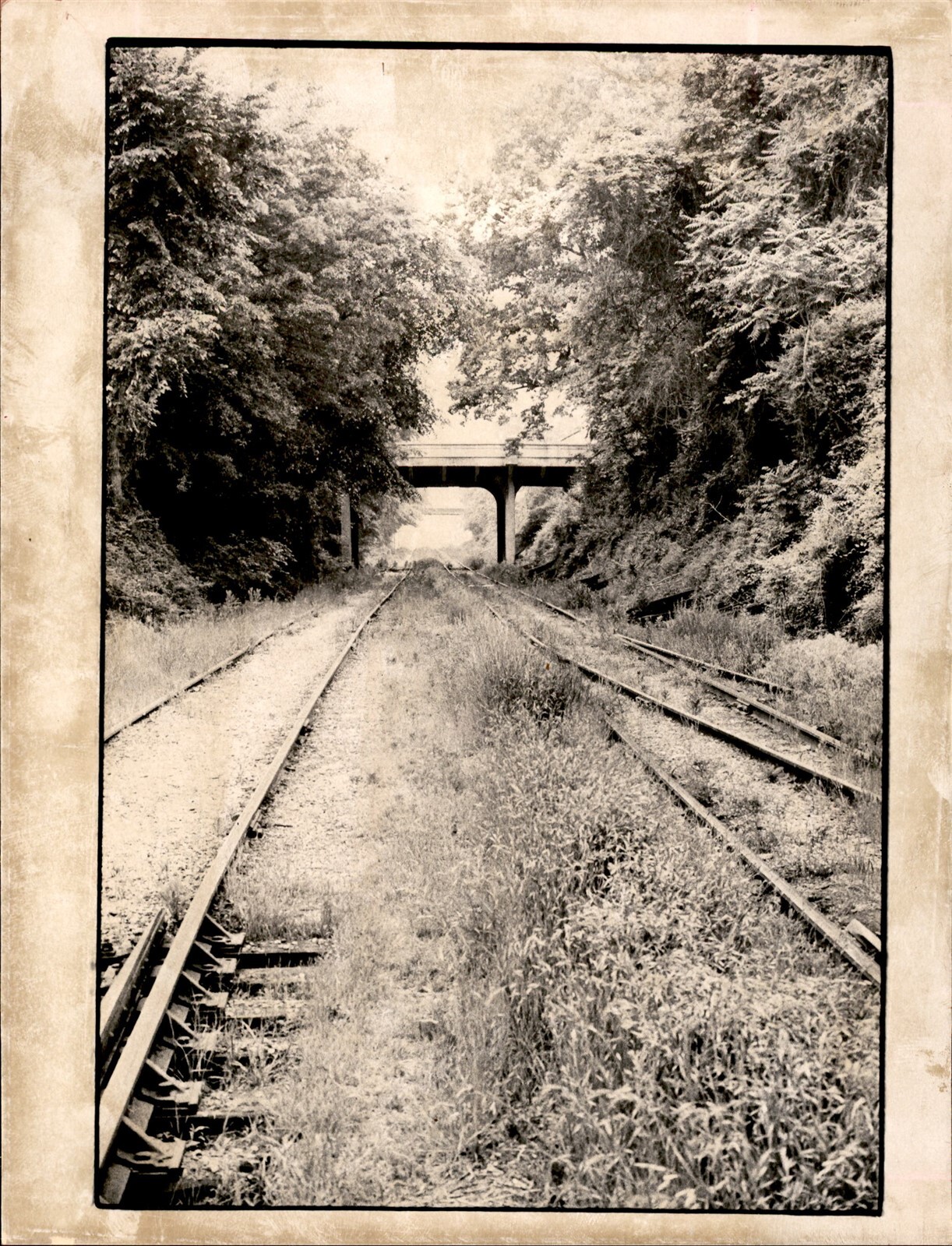 LG10 1971 Orig Elmer Norton Photo SOUTHERN RAILROAD TRACKS by Civic ...