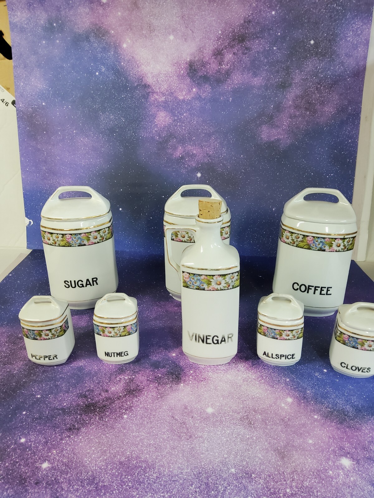 Set Of 8 Vintage Czechoslovakia Porcelain Spice & Dry Goods Floral ...