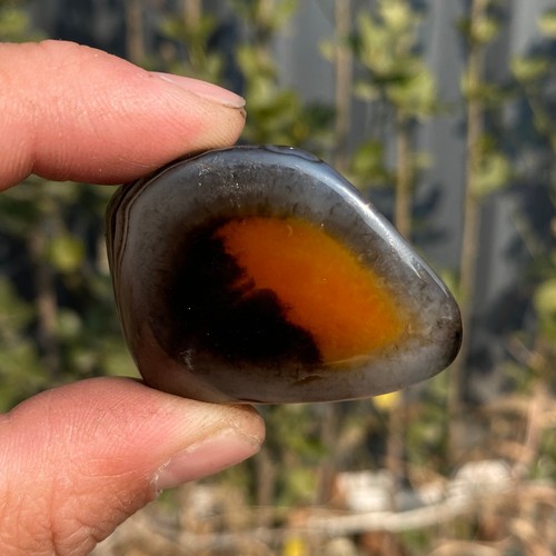 44G Polished Silk Banded Lace Agate Stone | eBay
