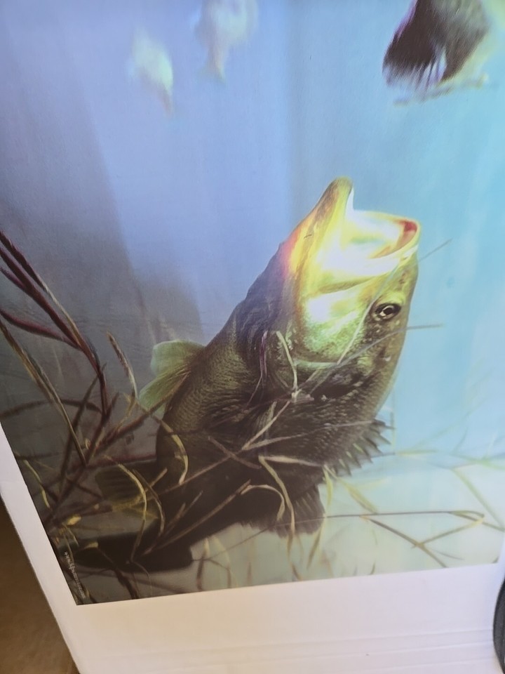 Bass Fish Hologram print | eBay