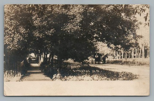 Horse Carriage on Dirt Road INKSTER North Dakota RPPC Antique Grand ...