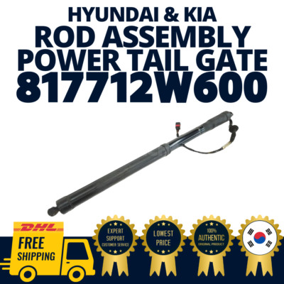 GENUINE OEM Hyundai Kia Strut Rod Assy Power Tail Gate Tailgate Santa ...
