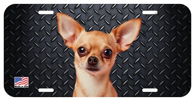 CHIHUAHUA GOLD FACE CAN PERSONALIZE NOVELTY METAL LICENSE PLATE C | eBay