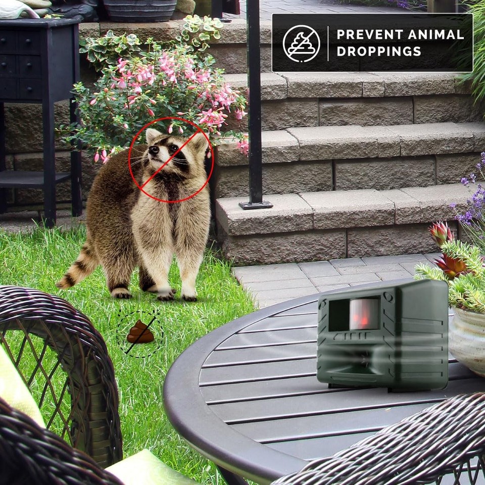 Bird-X Yard Gard Electronic Animal Repeller keeps unwanted pests out of ...