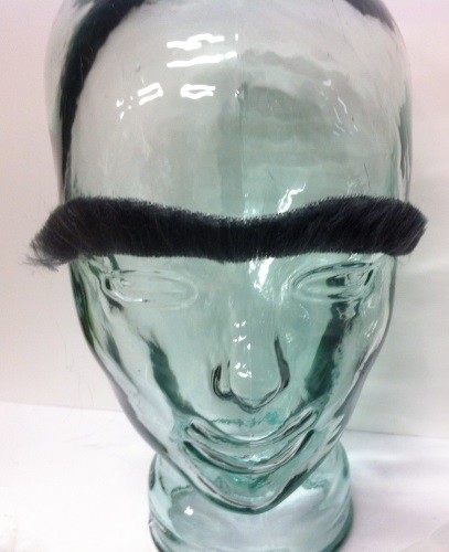 Funny fake eyebrows, costume eyebrows, monobrow, unibrow, zoom fancy ...