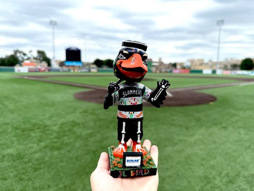 Brand New Joliet Slammers JL Bird Día de los Muertos Bobblehead From 8 ...
