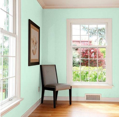 MINT 1 LITRE SOFT SHEEN INTERIOR PAINT ⭐️UNBRANDED TIN 1 COAT | eBay UK