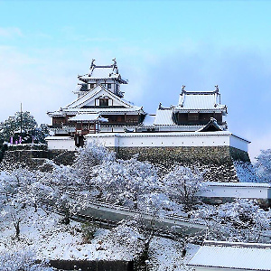 RIN-SHOP-JAPAN | eBay Stores