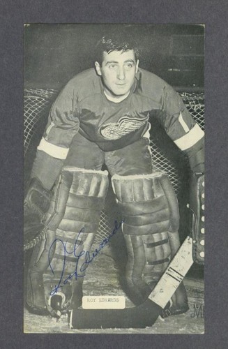Roy Edwards signed Detroit Red Wings J.D. McCarthy hockey postcard Rare ...