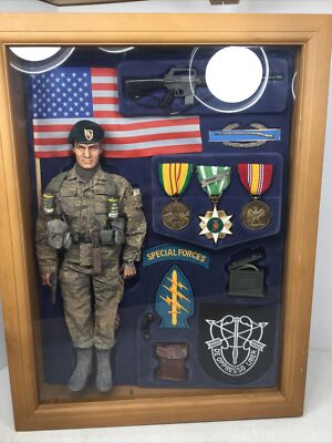 1/6 CUSTOMIZED GREEN BERET SPECIAL FORCES VIETNAM SHADOWBOX FRAMED ...