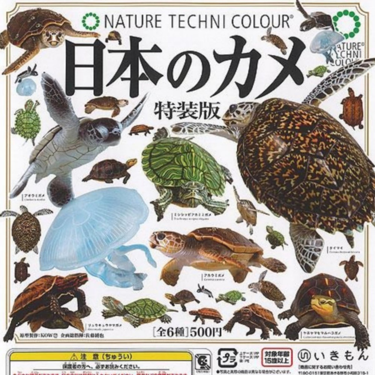 Hawksbill Turtle Colors