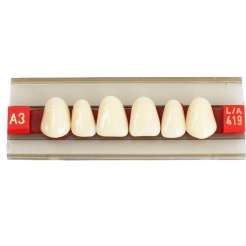 G419 A3 Upper Anterior Acrylic Resin Dental Teeth Denture False ...
