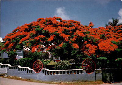VERDMONT, St. Patrick's, DICLET'S STEEPAL, Collectors Hill, Postcard | eBay