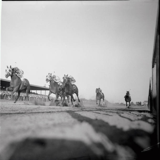 Teddy Atkinson And A Group Of Horses Running A Race 1950 Horse Racing ...