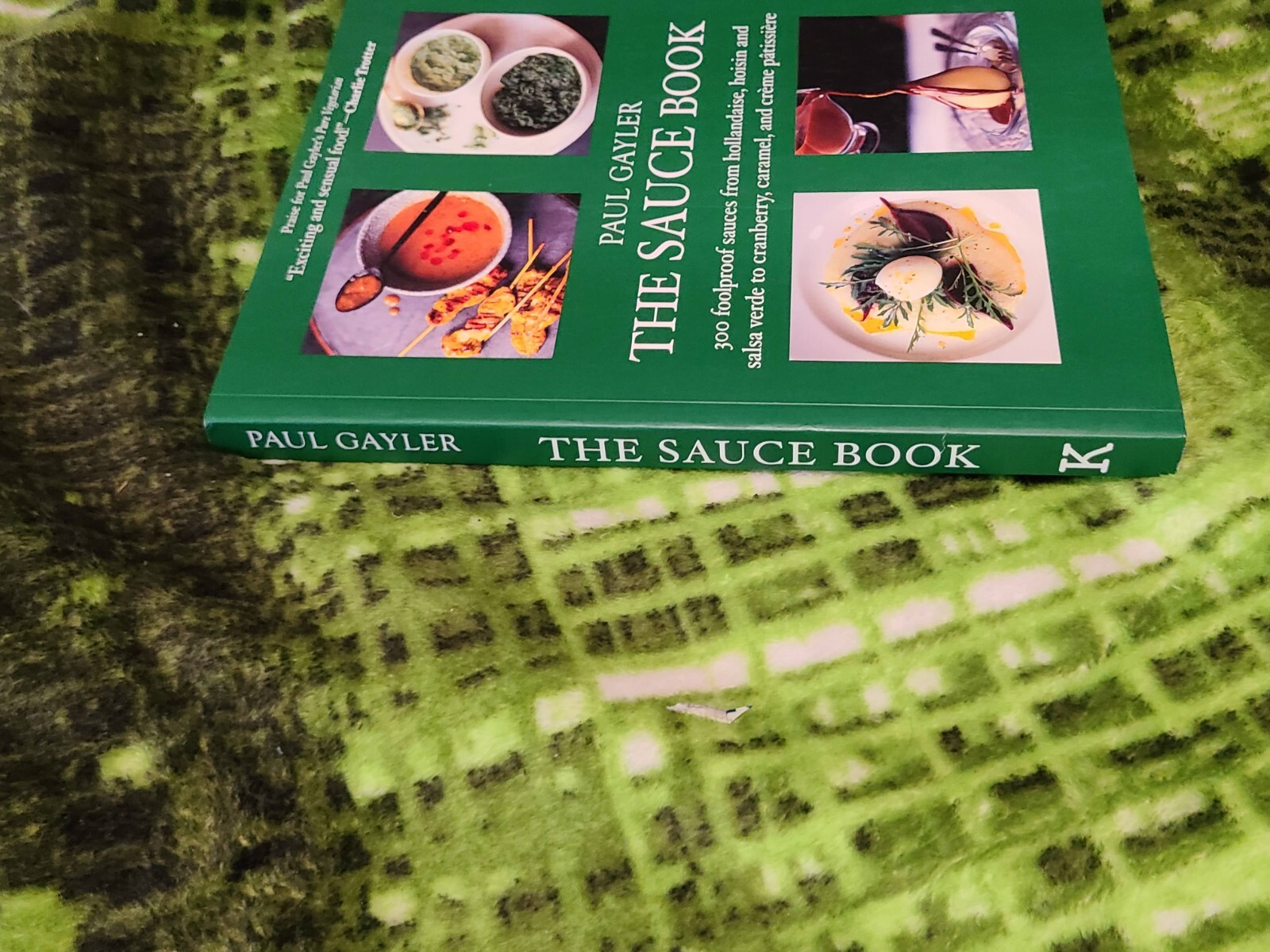 Sauce Book : 300 Foolproof Sauces from Hollandaise, Hoisin and Sala ...