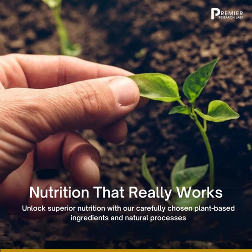 Pancreven - Pancreas Support, Pancreas Supplement, Cinnamon Supplements ...