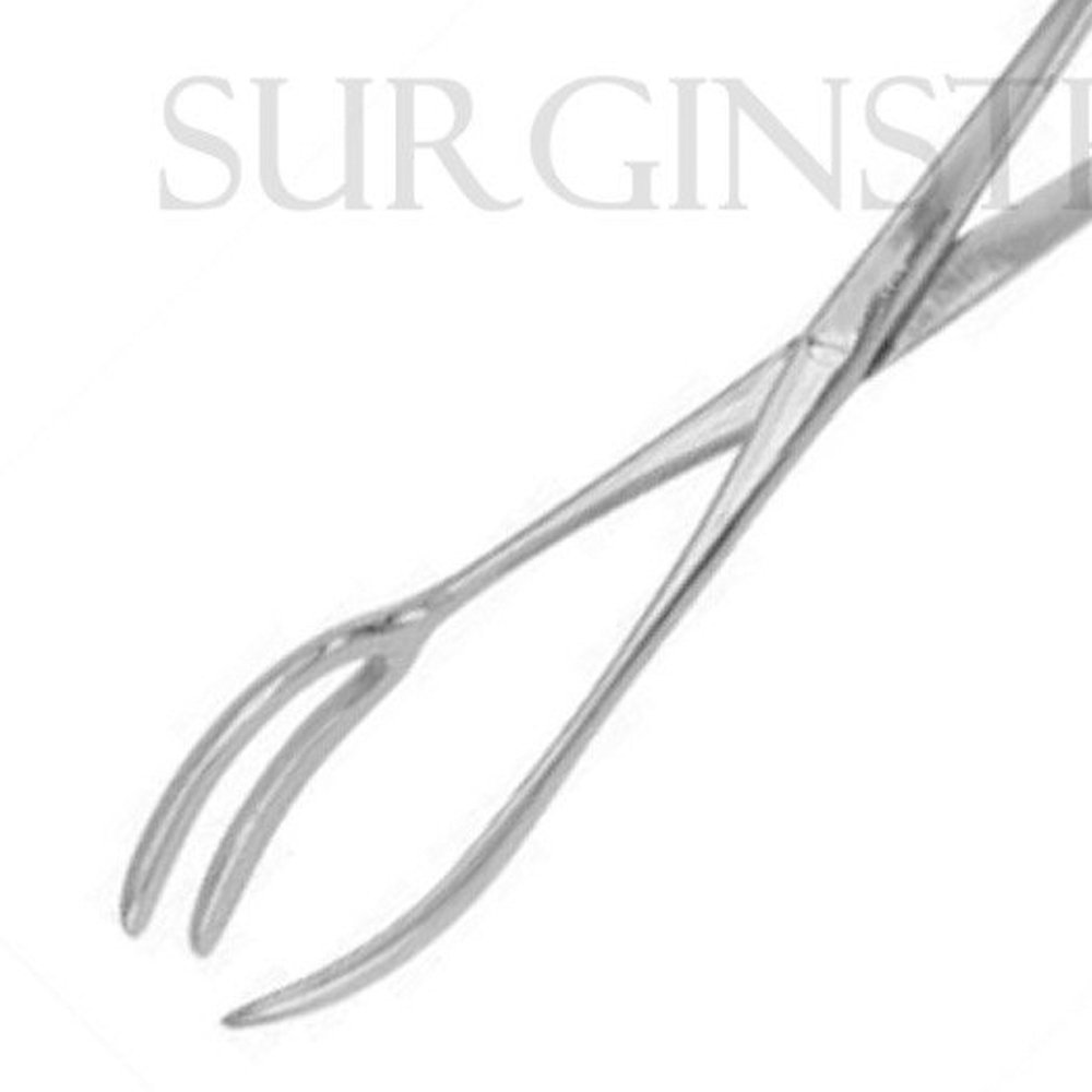 2 X Three Prong Sterilizer Forceps 8" - Surgical Medical Sterilizing ...