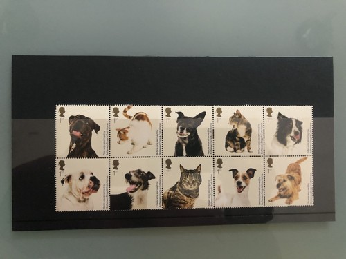 GB 2010 Royal Mail Cats & Dogs 1st Class Stamps MNH | eBay UK