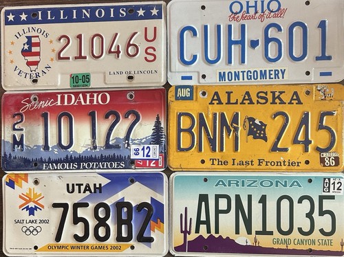 (6) Beautiful Embossed Expired State License Plates, A Few Difficult To ...