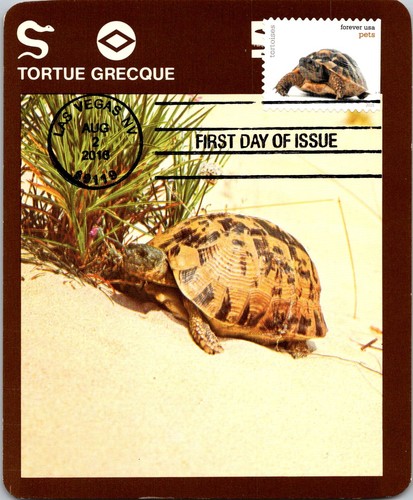 Dr Jim Stamps Maximum Card Forever USA Pets Tortoises First Day Issue ...