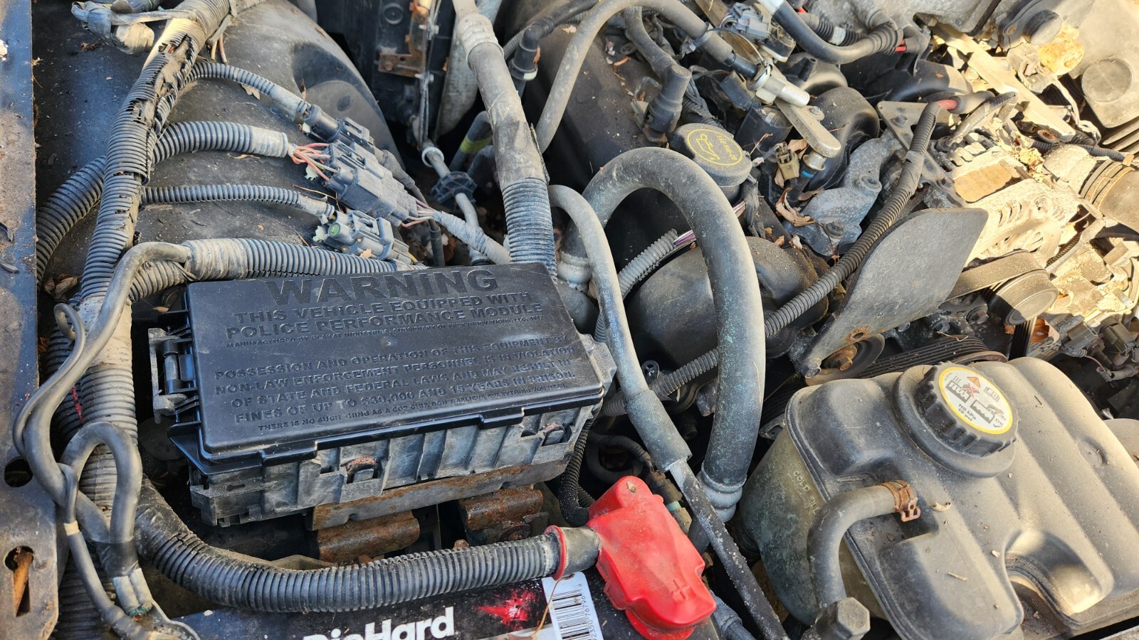 Cop Chip - 2003-2011 Crown Victoria Police Interceptor | eBay