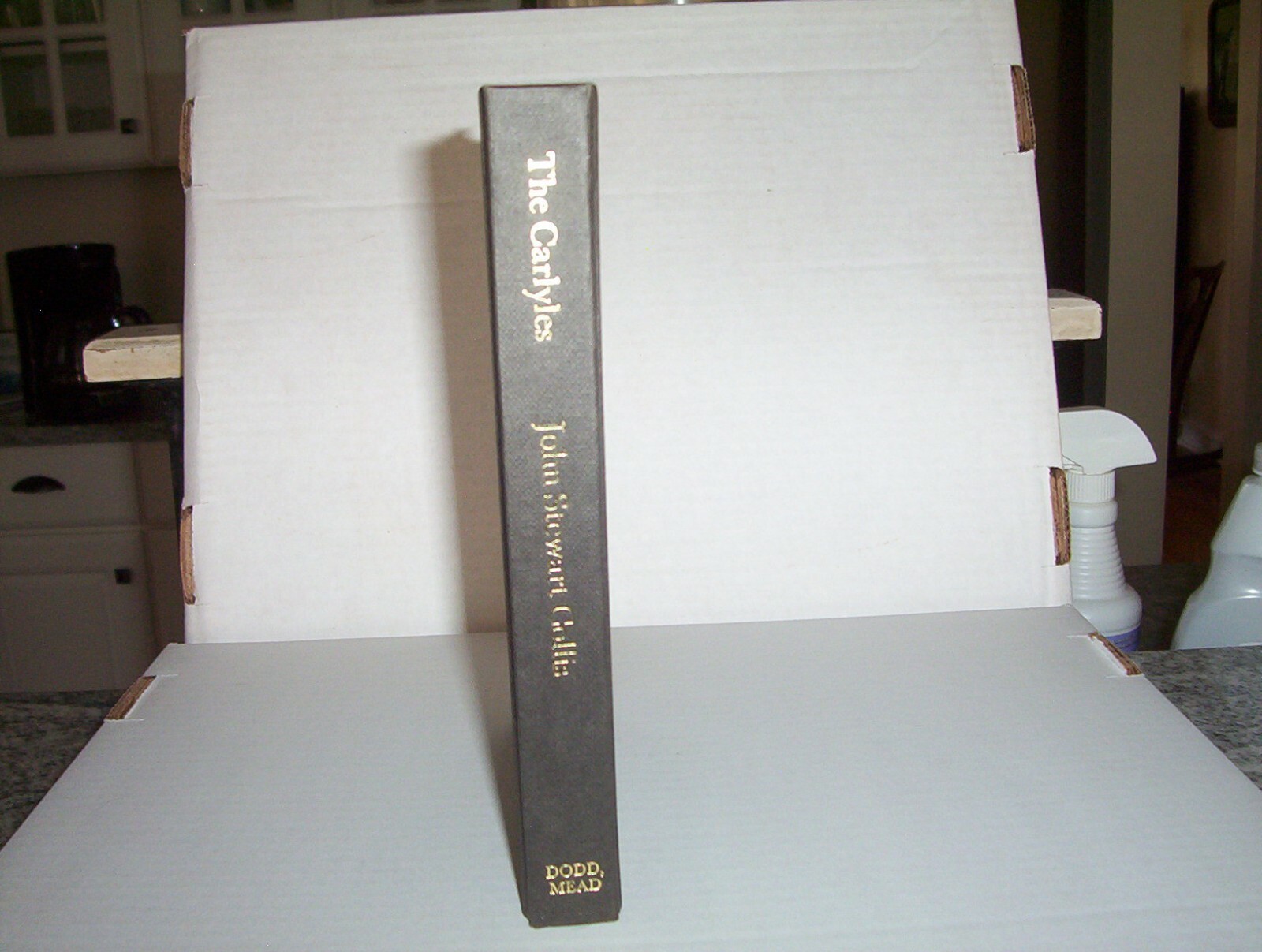 "The Carlyles: A Biography of Thomas and Jane Carlyle" by John Stewart ...