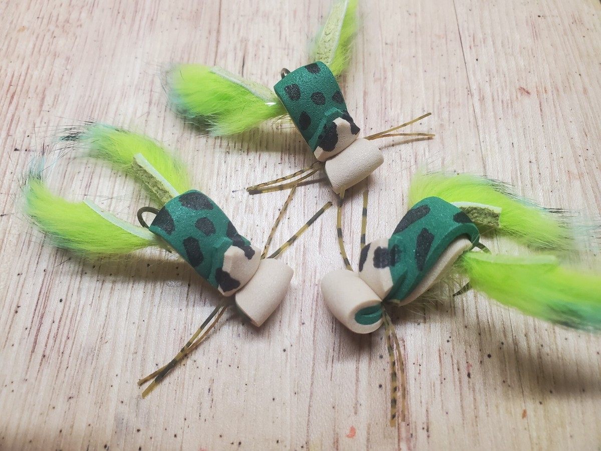 Frogg Fly Dry Rind Frog | Pacific Fly Fishers