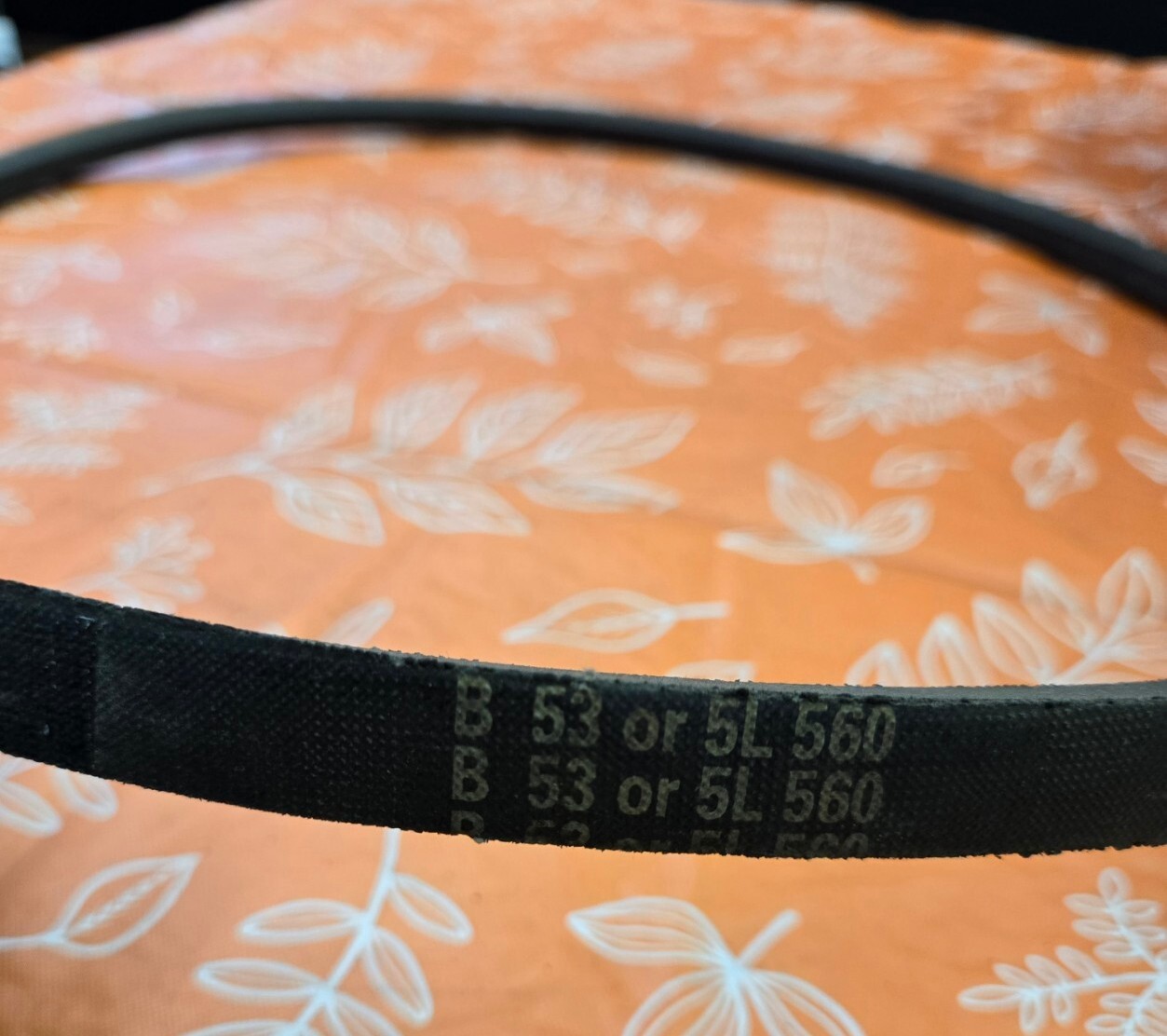B53/5L560 Belt | eBay
