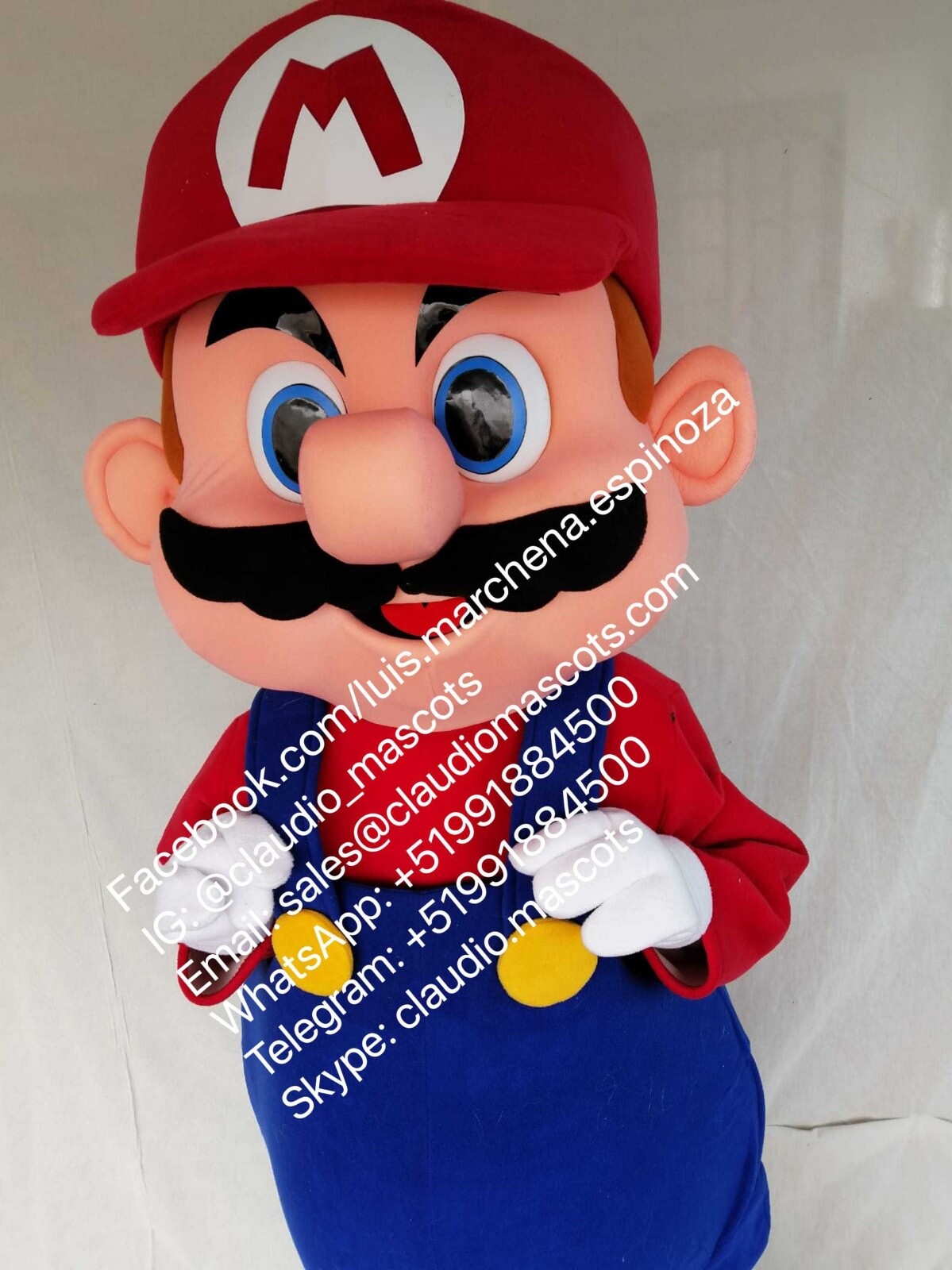 Mario Bros Mascot Costume Mascotte cosplay botarga halloween Claudio ...
