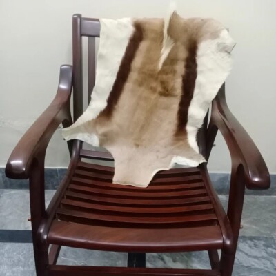 Original Springbok Deer Skin | eBay