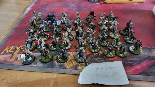 Mesbg Lotr Warhammer Large Rohan Army | eBay UK