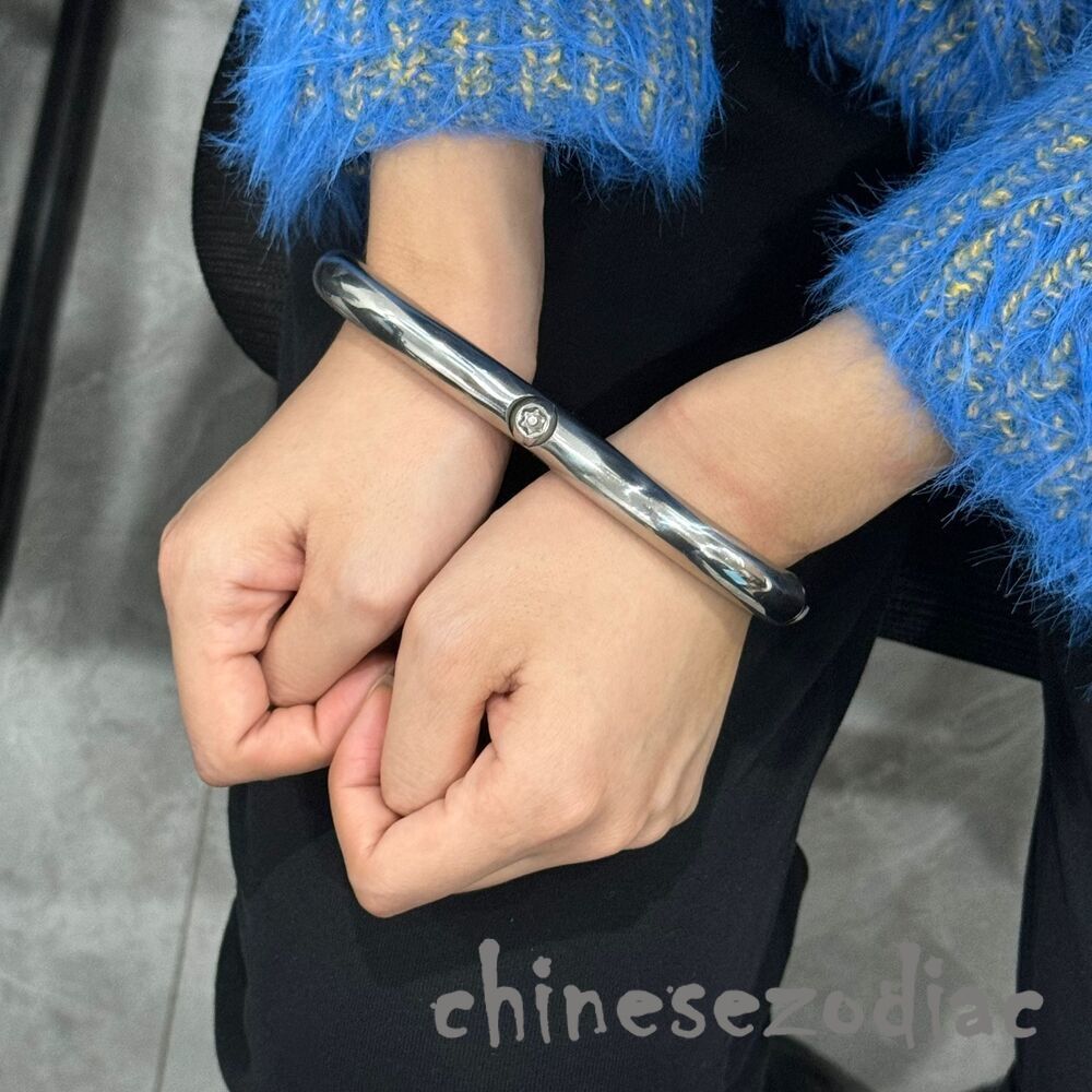 Stainless Steel Wrist Handcuffs Bondage Cuffs Restraint BDSM Slave ...