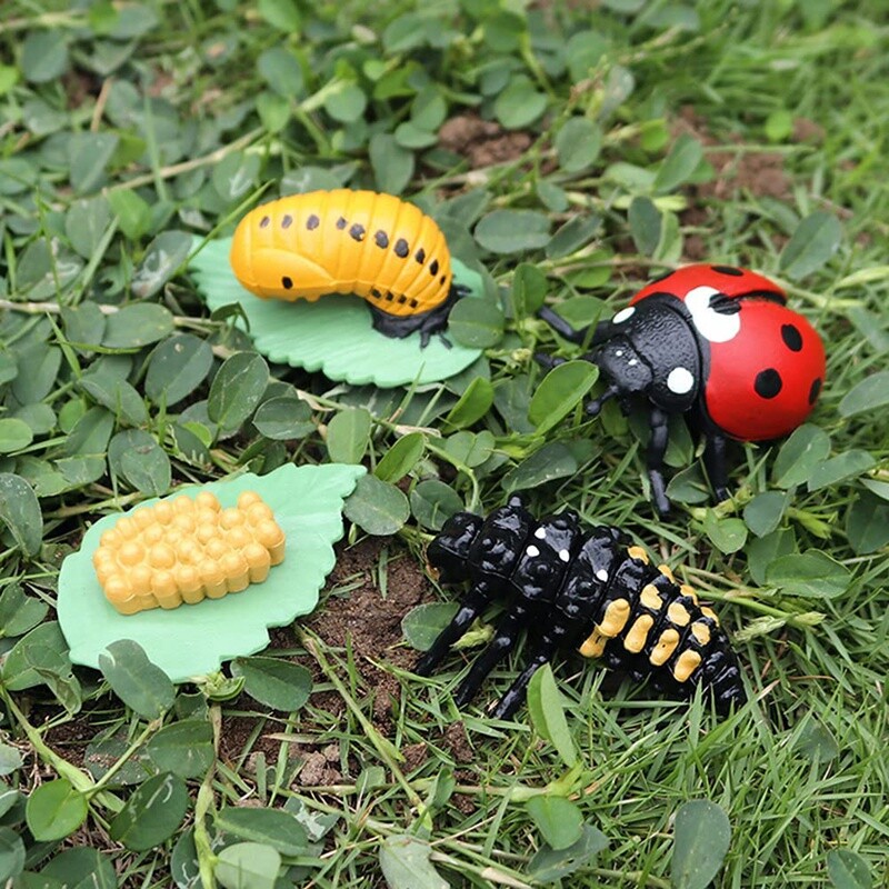 Cycle Figurines of Butterfly Bee Ladybug Dragonfly, Plastic Insect ...