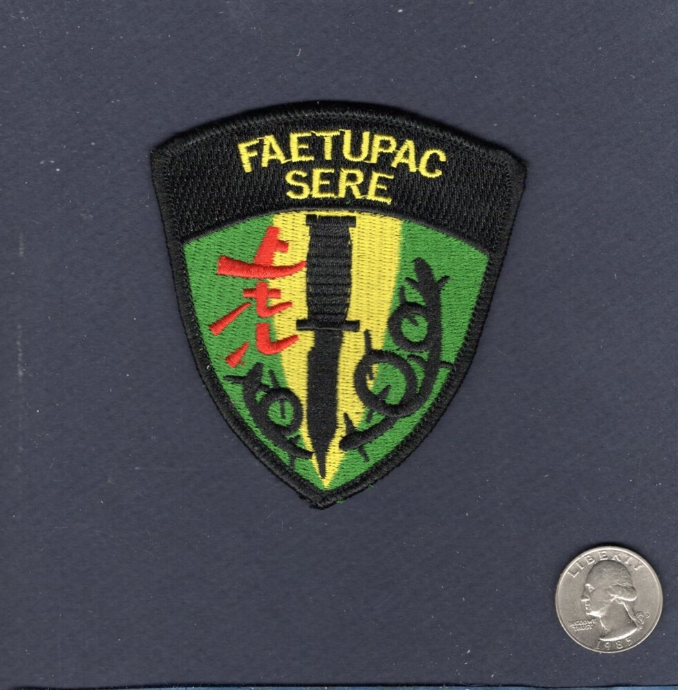 Sere Logo Air Force Beret Badge: Survival Evasion Resistance Escape: