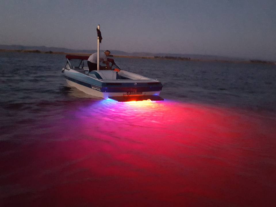 WORLD'S BRIGHTEST 1/2" DRAIN PLUG LIGHT RGB AND SOLID COLORS- HYDRO ...