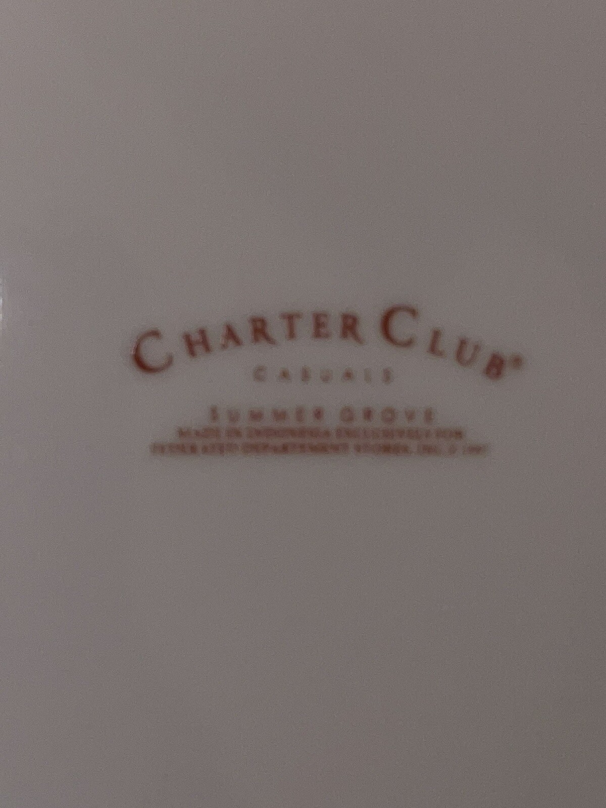 Charter Club Summer Grove Pattern Casuals China Dinner Plates (6) | eBay