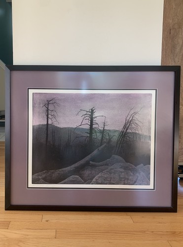 Framed Signed Etching Aquatint Watercolor Print “North Land” George ...