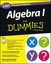 Algebra I: 1,001 Practice Problems For Dum..., Sterling 9781118446713 ...