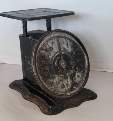 Scales - Scale 24 Pounds