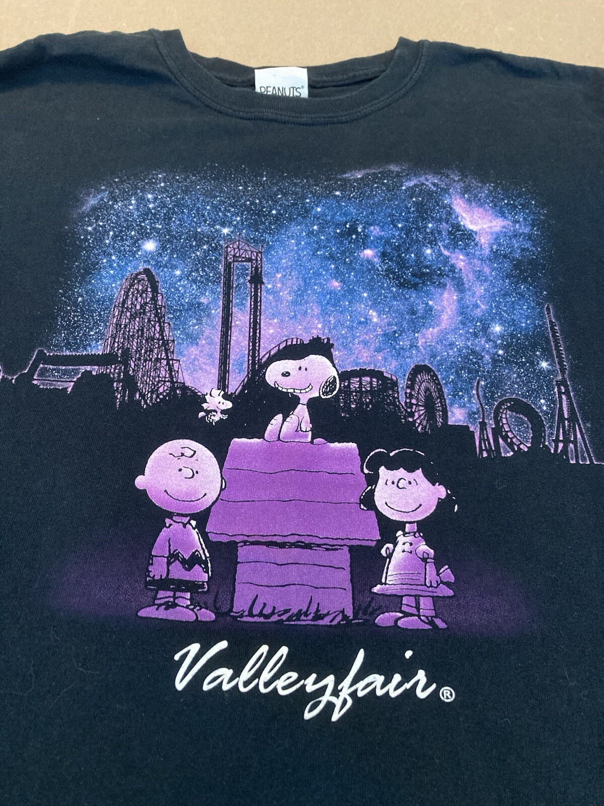 Valleyfair Amusement Park Peanuts Snoopy Charlie Brow… - Gem