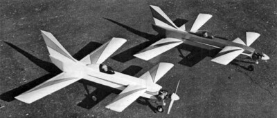 Ascender Sport Canard 39" WS RC Radio Control Airplane Printed Plans ...