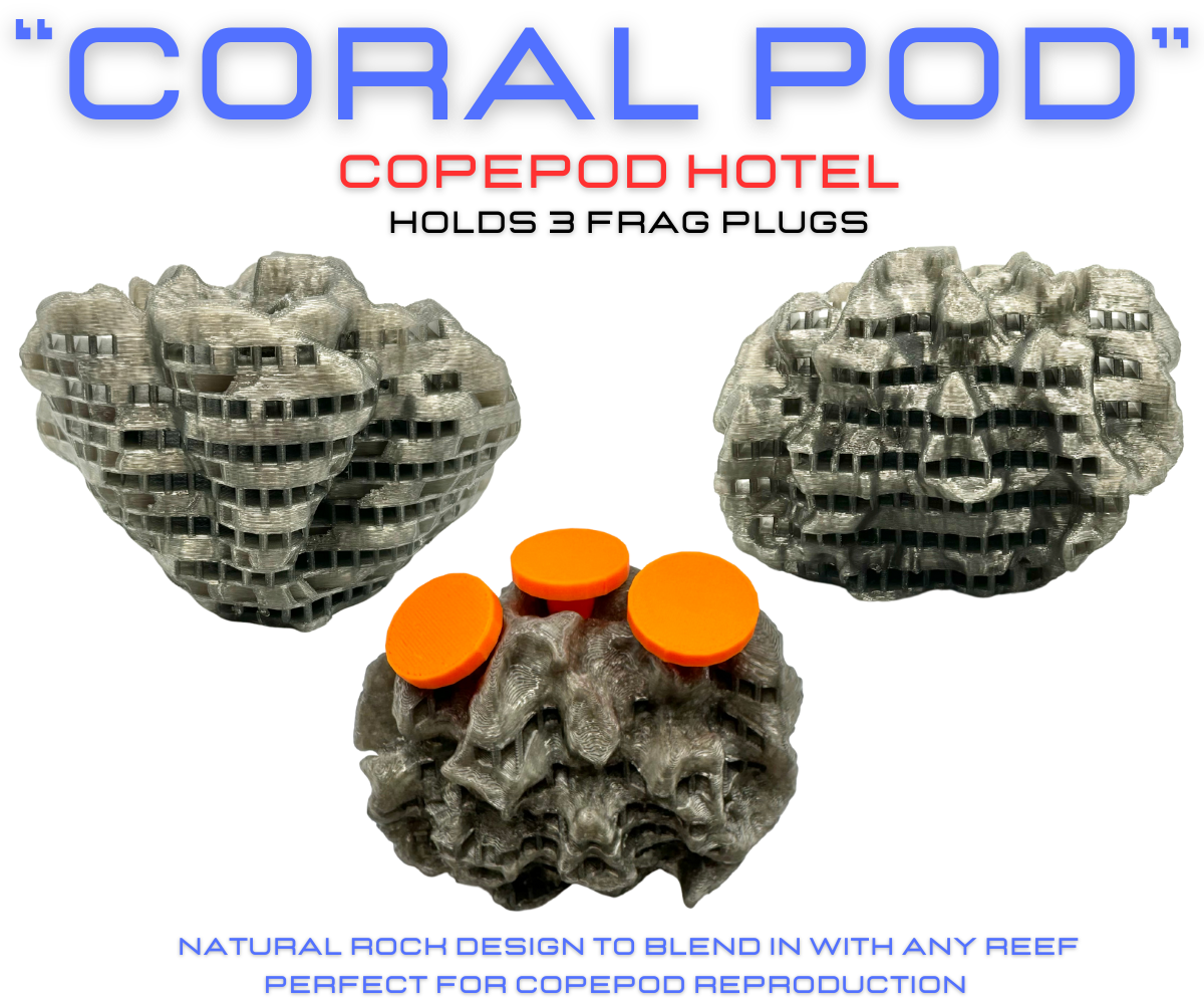 CORAL POD™ v2 - AlgaeDepot Copepod Hotel - Copepod Breeder Pod - FAST ...