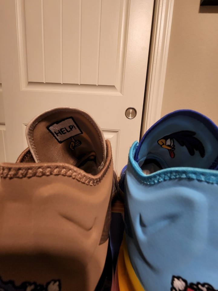 Nike Lebron 18 Low Wile E. vs Roadrunner Space Jam Xbox Controller Set ...