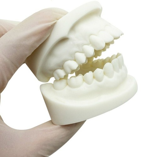Preparation dental cast mold resin dentistry teaching model practice ...