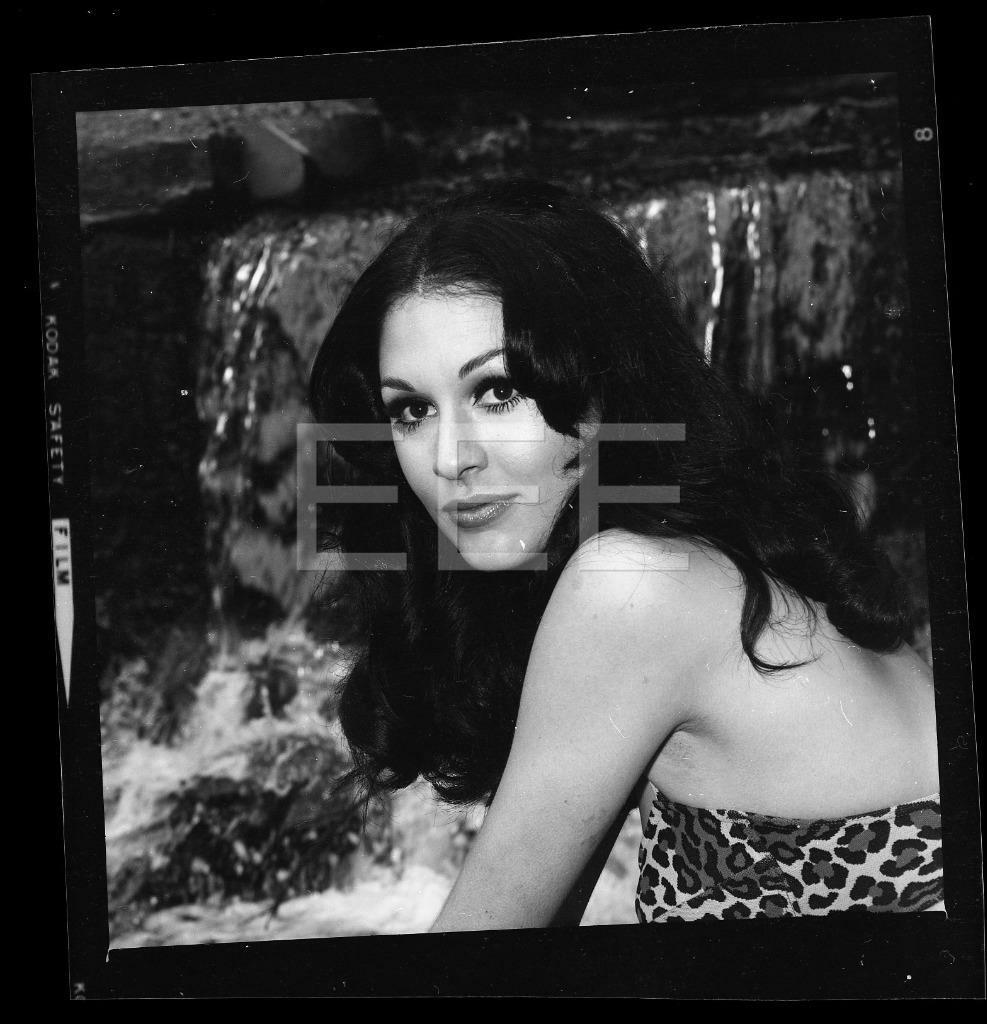 Laurie Sibbald TV Actress Harry Langdon Original Negative w/rights H53 ...