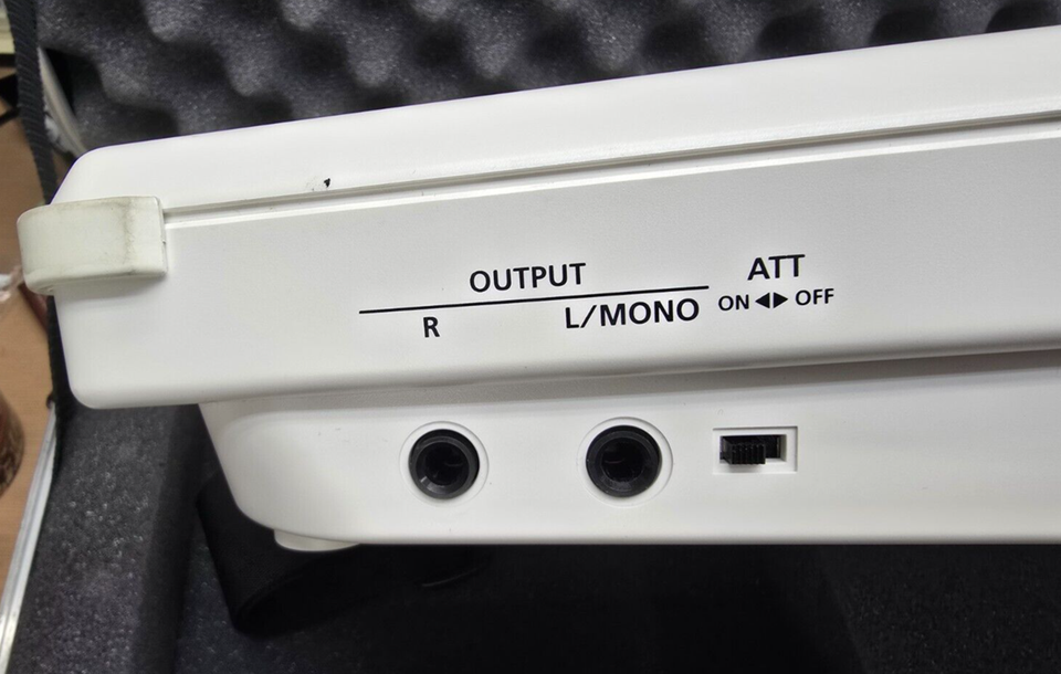 Roland AX-Synth Keytar With Custom Hard-shell Case & Original Strap ...