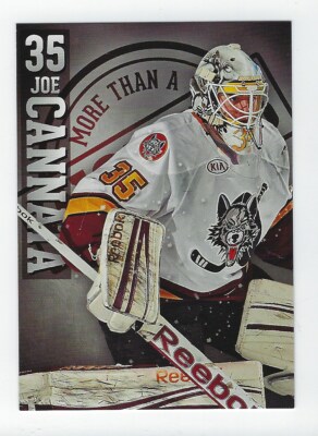 2012-13 Chicago Wolves (AHL) Joe Cannata (goalie) | eBay