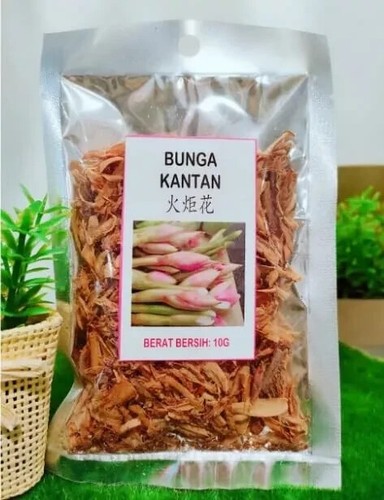 Bunga Kantan Torch Flower 10g Free Shipping World WILD | eBay