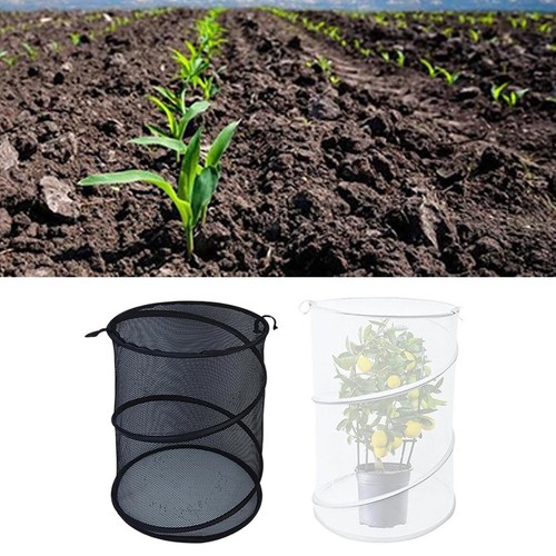 Foldable Plant Cover Plant Growth Protector Ample Ventilation Compact ...