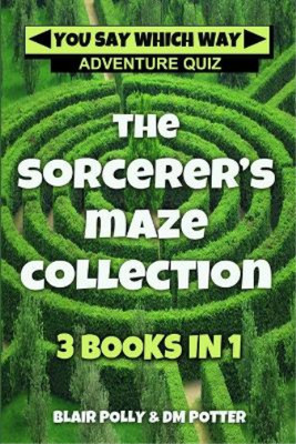 DM Potter Blair Polly The Sorcerer's Maze Collection (Poche) | eBay